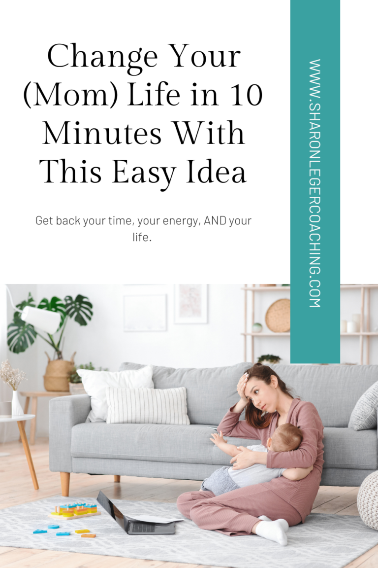 Mom Organization Systems | Change Your Life With This One Idea